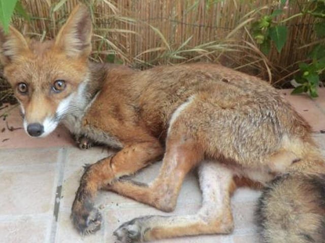 Liguria Oggi – Il quotidiano di Genova e Liguria