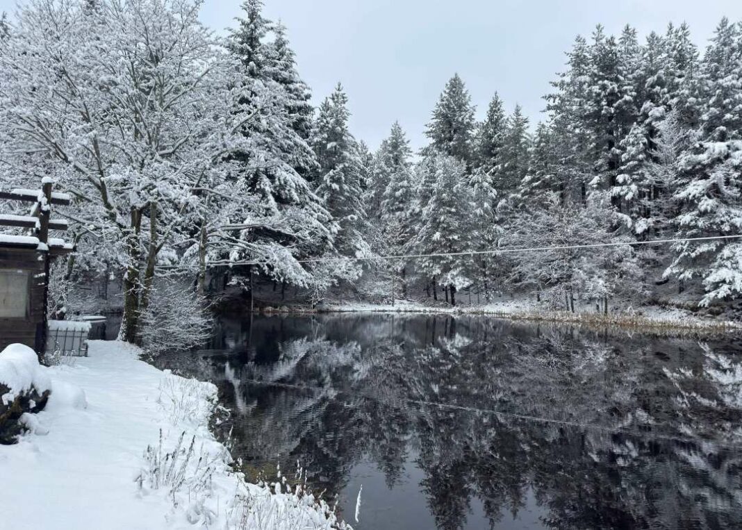 In Liguria è arrivata la neve, dove è caduta e dove è attesa nelle ...